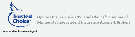 Our Insurers - Option Insurance